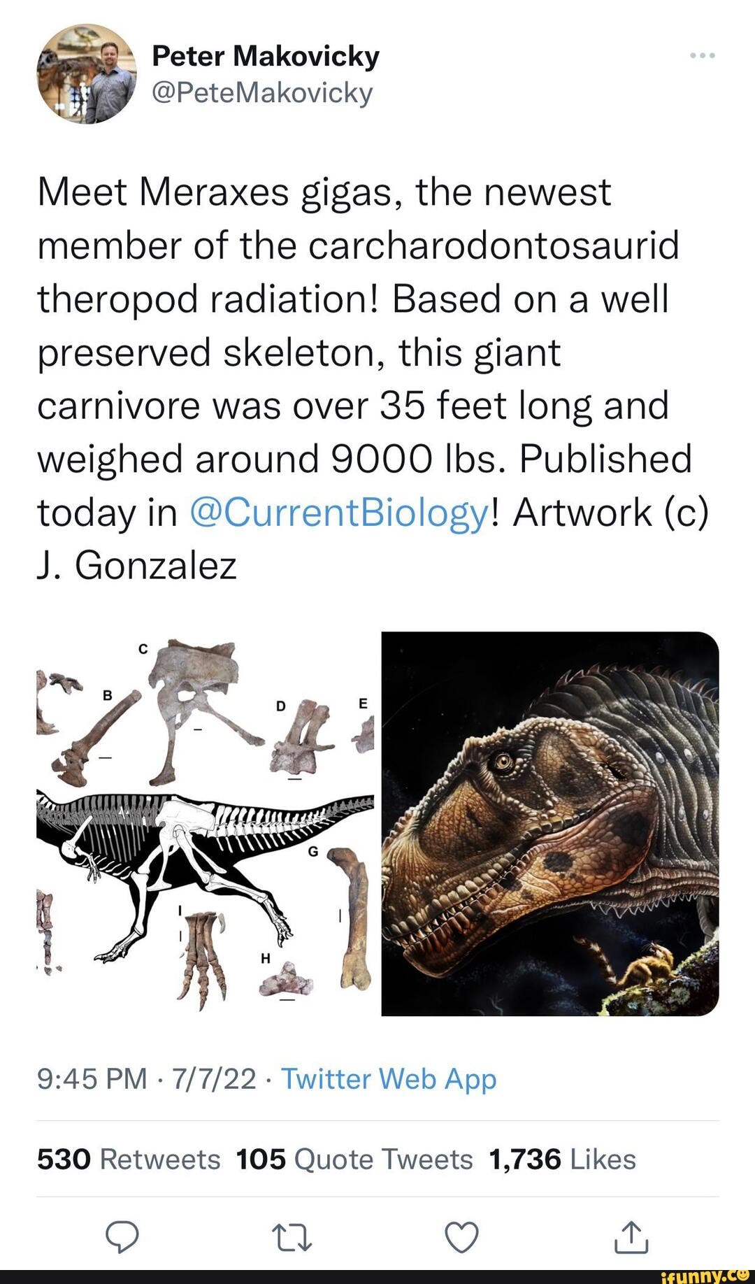 Carcharodontosaurid memes. Best Collection of funny Carcharodontosaurid ...